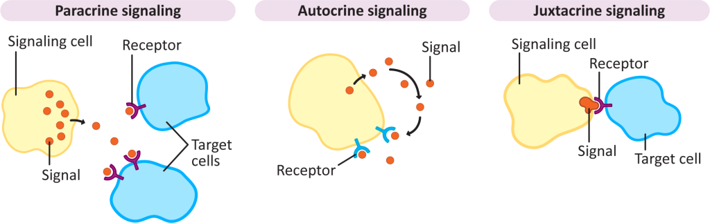 Cell Signaling – Fundamentals of Cell Biology
