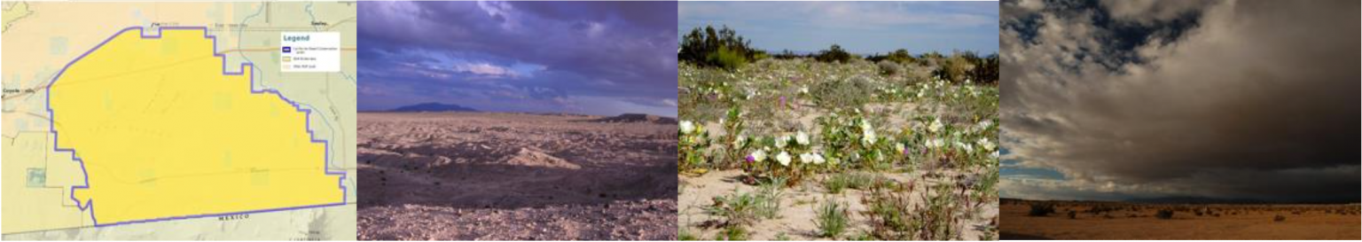 Sonoran Desert Ecosystems – Rangeland Ecosystems of the Western US