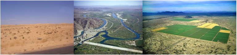 Sonoran Desert Ecosystems – Rangeland Ecosystems of the Western US