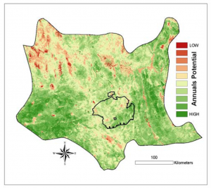 Mojave Desert Ecosystems – Rangeland Ecosystems of the Western US