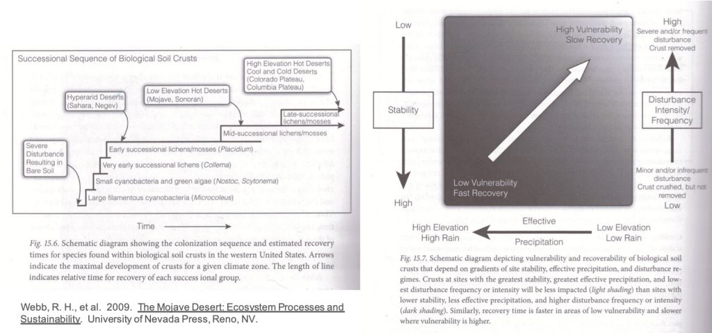 Mojave Desert Ecosystems – Rangeland Ecosystems of the Western US