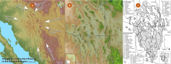 Sonoran Desert Ecosystems – Rangeland Ecosystems of the Western US