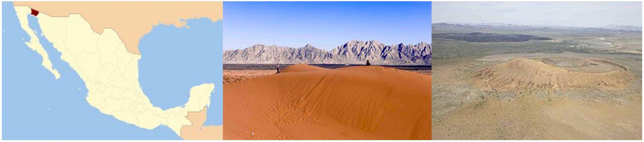 Sonoran Desert Ecosystems – Rangeland Ecosystems of the Western US