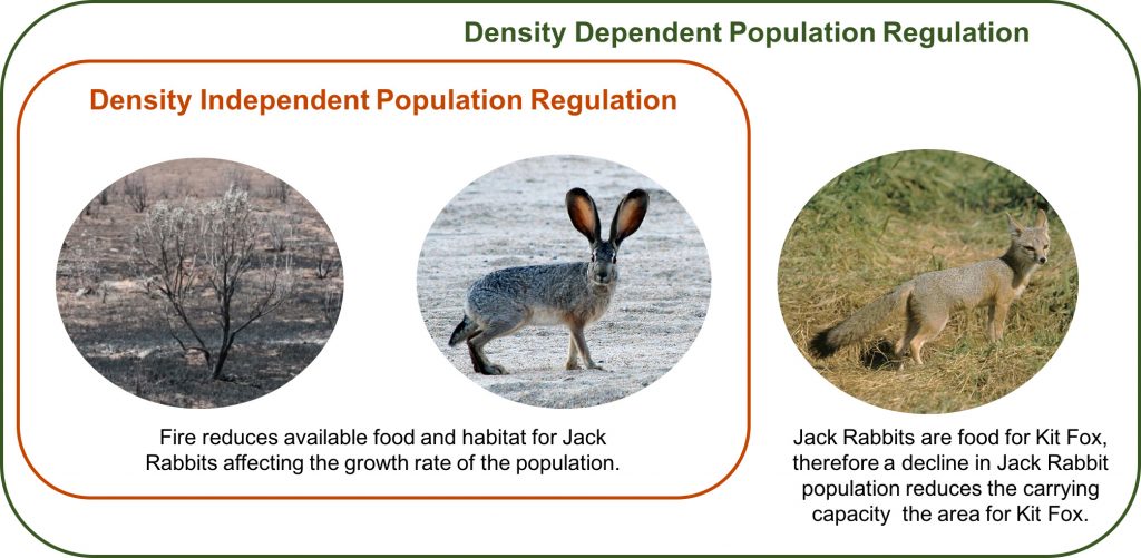 Population Ecology – Rangeland Ecosystems of the Western US