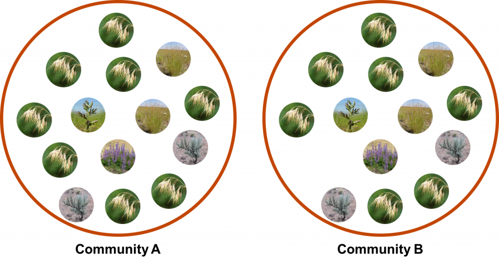 Community Ecology – Rangeland Ecosystems of the Western US
