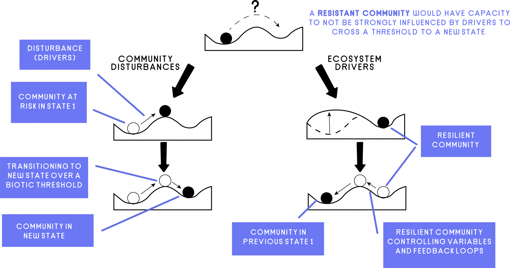 Nonequilibrium Ecology and Ecosystem Resiliency – Rangeland Ecosystems ...