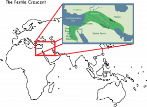 The Origins of Agriculture – History and Science of Cultivated Plants