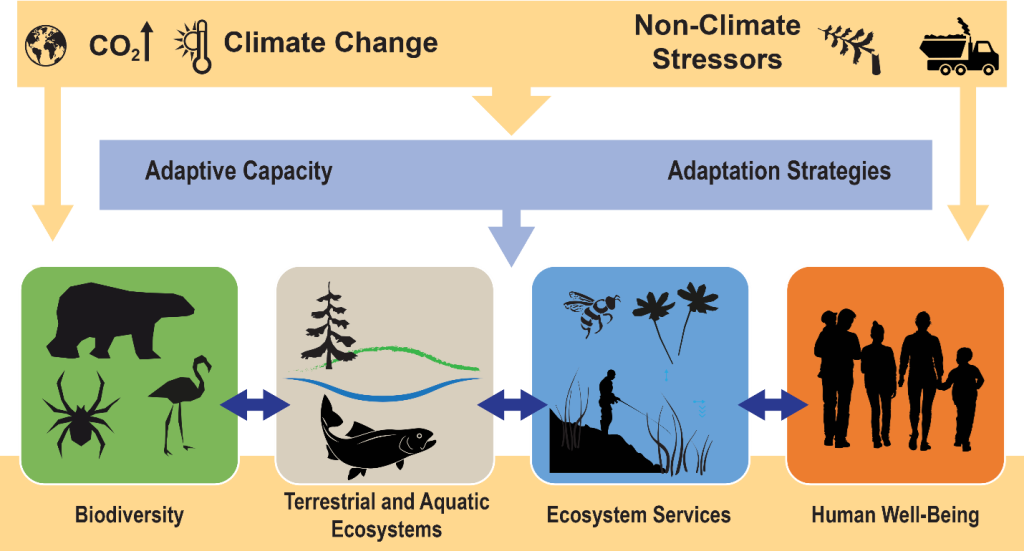 Metamorphosis – A Natural History of the Anthropocene