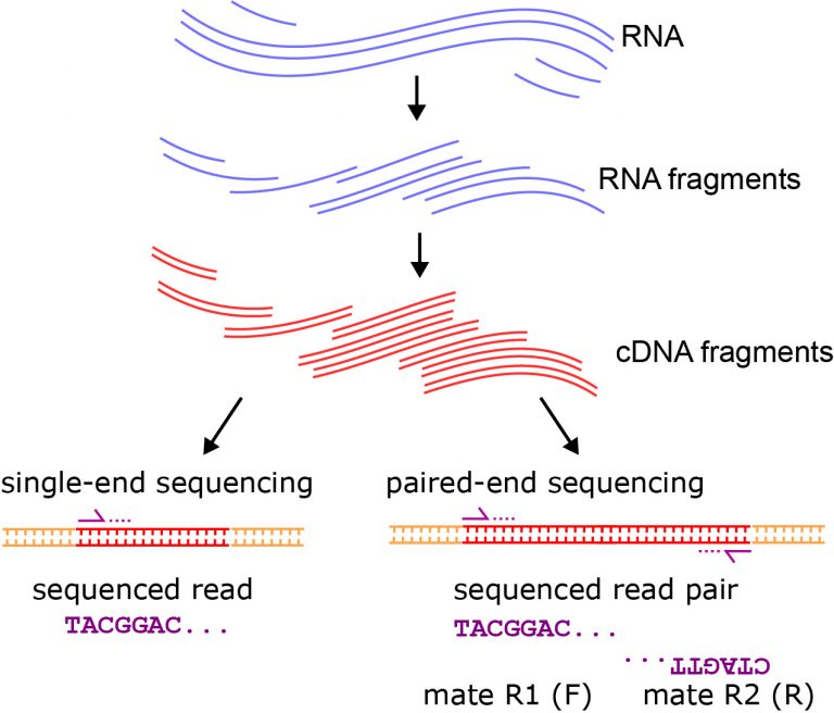 Chapter 6 Transcriptomics Applied Bioinformatics