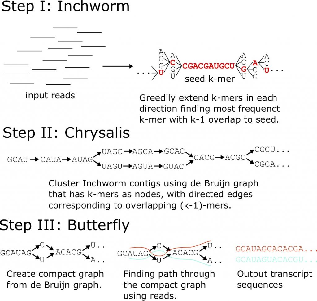 Chapter 6: Transcriptomics – Applied Bioinformatics